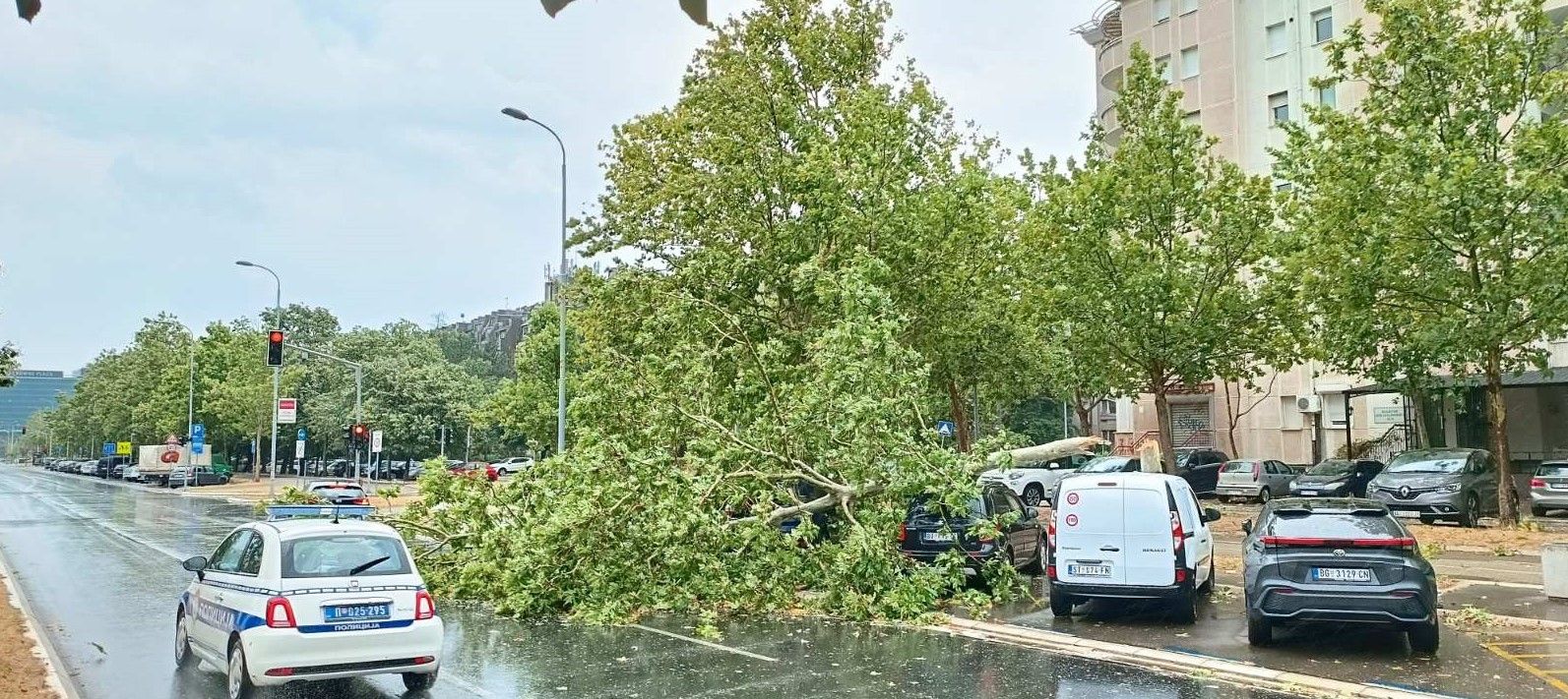 Edhe Serbia goditet nga stuhitë e fuqishme, pamje që e dëshmojnë ...