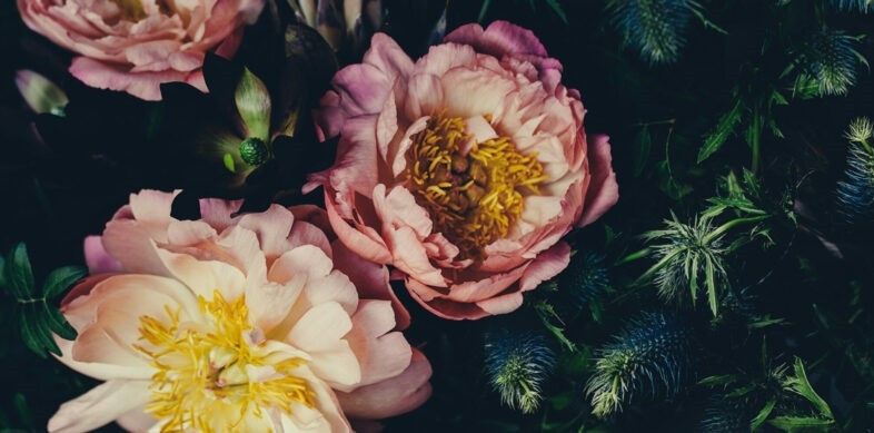 Why do flowers lose their color? Restore their freshness with three ...