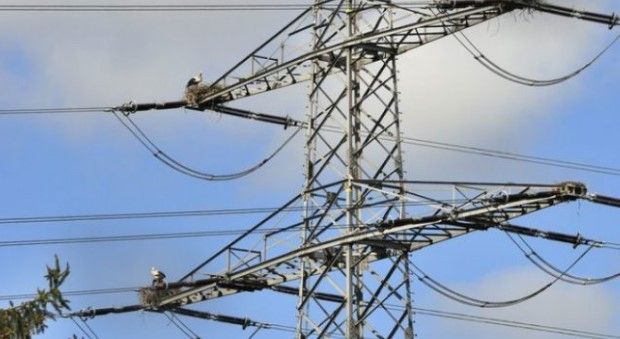 Bizneset pa kontrata rrezikojnë shkyçjen nga rryma më 31 korrik ...