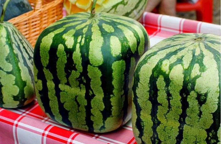 A keni dëgjuar për shalqinjtë kubikë? Po, janë të vërtetë - dhe ...