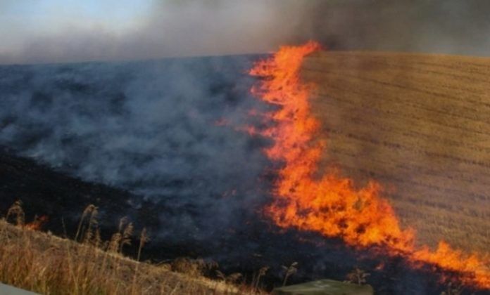 QMK: Shtatë zjarre aktive, janë shuar 19 - Telegrafi - Telegrafi