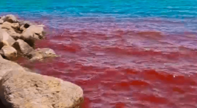 The Sea of Galilee 'turns red like blood' - the reason behind the rare ...