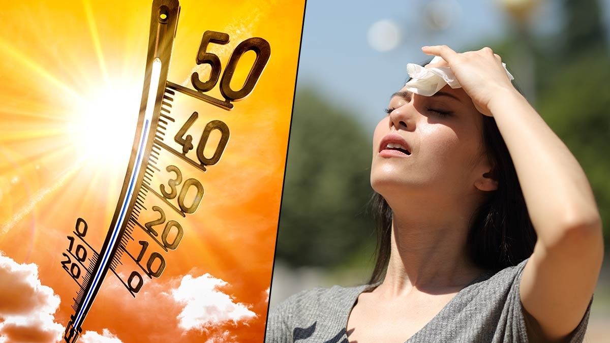 Extreme heat - how to cope with extreme temperatures - Telegraph ...